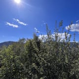 Murphy Ranch Trail, California - 3,615 Reviews, Map | AllTrails