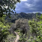 Murphy Ranch Trail, California - 3,615 Reviews, Map | AllTrails