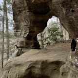 Silvermine Arch via Rough Trail, Kentucky - 120 Reviews, Map | AllTrails
