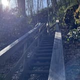 Silvermine Arch via Rough Trail, Kentucky - 120 Reviews, Map | AllTrails