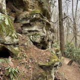 Silvermine Arch via Rough Trail, Kentucky - 120 Reviews, Map | AllTrails