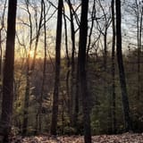 Silvermine Arch via Rough Trail, Kentucky - 120 Reviews, Map | AllTrails