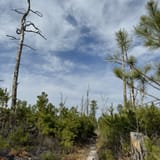 Batsto Lake Trail, New Jersey - 1,583 Reviews, Map | AllTrails