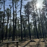 Batsto Lake Trail, New Jersey - 1,583 Reviews, Map | AllTrails