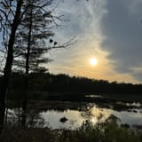Batsto Lake Trail, New Jersey - 1,583 Reviews, Map | AllTrails