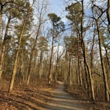 Batsto Lake Trail, New Jersey - 1,634 Reviews, Map | AllTrails
