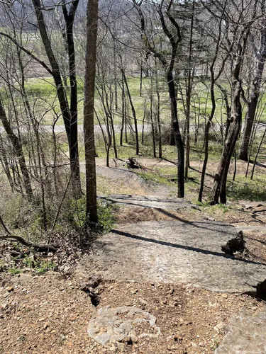 Best Hikes and Trails in Bella Vista Park | AllTrails