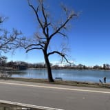 Washington Park Loop, Colorado - 3,443 Reviews, Map | AllTrails