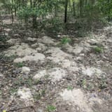 Burroughs Park Eastern Trail Loop, Texas - 799 Reviews, Map | AllTrails