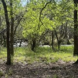 Burroughs Park Eastern Trail Loop, Texas - 799 Reviews, Map | AllTrails