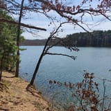 Lake Wedington Hiking Trail, Arkansas - 632 Reviews, Map | AllTrails