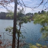 Lake Wedington Hiking Trail, Arkansas - 632 Reviews, Map | AllTrails