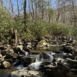 Ramsey Cascades Trail, Tennessee - 2,263 Reviews, Map | AllTrails