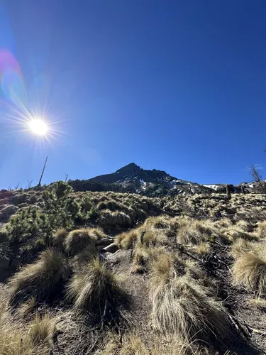 10 Best Camping Trails in Volcán Nevado de Colima National Park | AllTrails