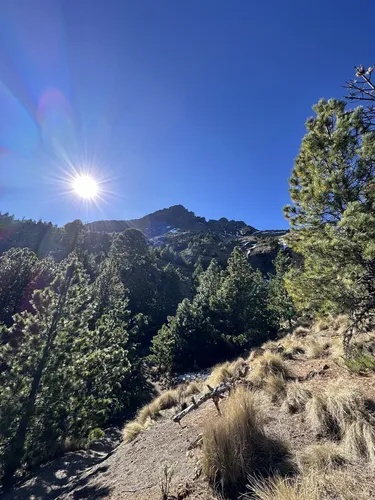 10 Best Camping Trails in Volcán Nevado de Colima National Park | AllTrails