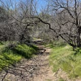 Apache Tears Mine via Perlite Road, Arizona - 848 Reviews, Map | AllTrails