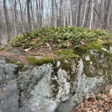 Swope Loop to Pine Hill, New Hampshire - 160 Reviews, Map | AllTrails