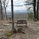 Swope Loop to Pine Hill, New Hampshire - 160 Reviews, Map | AllTrails