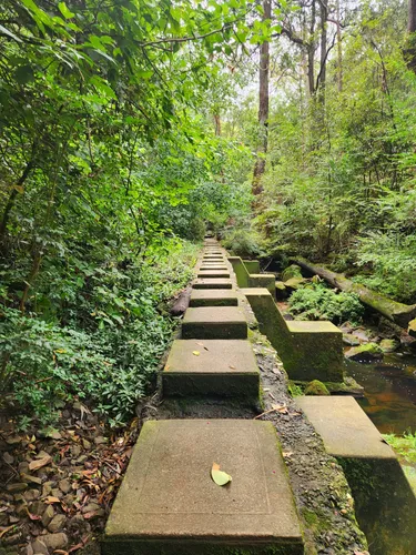 Best Walking Trails in Lake Parramatta Reserve | AllTrails