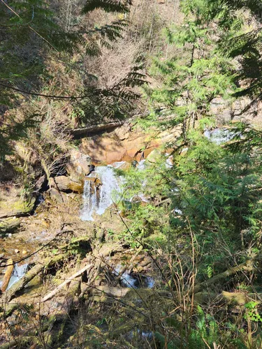 Best River Trails in Tiger Mountain State Forest | AllTrails