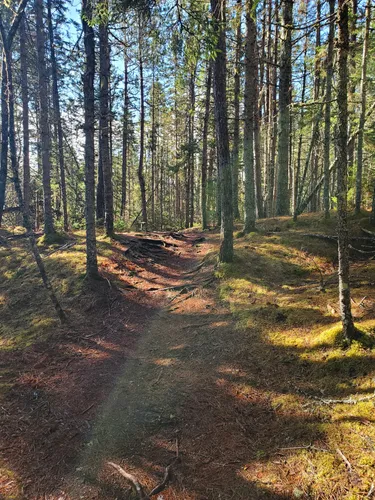 Best Hikes and Trails in Debert | AllTrails