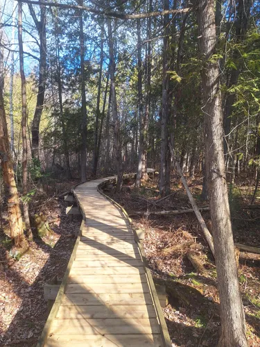 Best Hikes and Trails in Plover River State Fishery Area | AllTrails