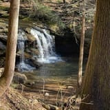Emory Gap Falls Trail, Tennessee - 871 Reviews, Map | AllTrails