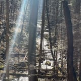 Emory Gap Falls Trail, Tennessee - 871 Reviews, Map | AllTrails