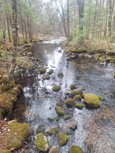 Best Hikes and Trails in Plover River State Fishery Area | AllTrails