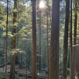 Twin Falls Trail, Washington - 10,209 Reviews, Map | AllTrails