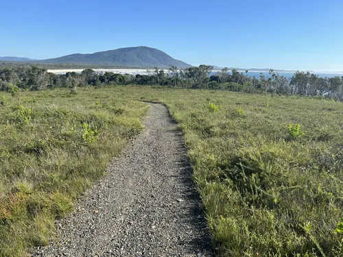 Best Views Trails in Crowdy Bay National Park | AllTrails