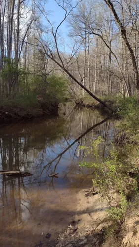 Best Hikes and Trails in Crooked Creek Park | AllTrails