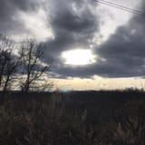 Giuffrida Park Loop, Connecticut - 1,627 Reviews, Map | AllTrails