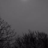 Giuffrida Park Loop, Connecticut - 1,627 Reviews, Map | AllTrails