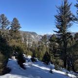 Beaver Ponds Loop Trail, Montana - 1,102 Reviews, Map | AllTrails