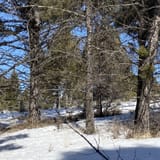 Beaver Ponds Loop Trail, Montana - 1,102 Reviews, Map | AllTrails