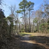 NMB Nature Trail, South Carolina - 381 Reviews, Map | AllTrails