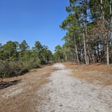 NMB Nature Trail, South Carolina - 381 Reviews, Map | AllTrails