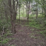 Plum Creek Trail, Texas - 243 Reviews, Map | AllTrails