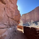 Rim Overlook Trail, Utah - 1,007 Reviews, Map | AllTrails