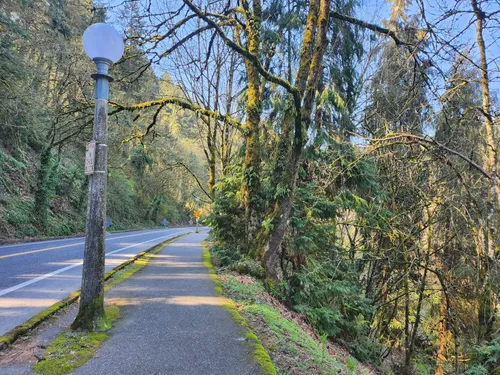 Best Hikes and Trails in George Himes Park | AllTrails