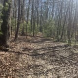 Caney Creek Loop Trail, Kentucky - 232 Reviews, Map | AllTrails