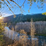 Dosewallips River Road Trail, Washington - 629 Reviews, Map | AllTrails