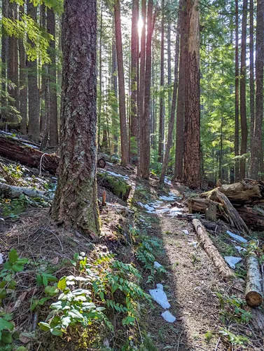 Best Walking Trails in Lowell | AllTrails