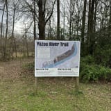 Yazoo River Forest Trail, Mississippi - 3 Reviews, Map | AllTrails