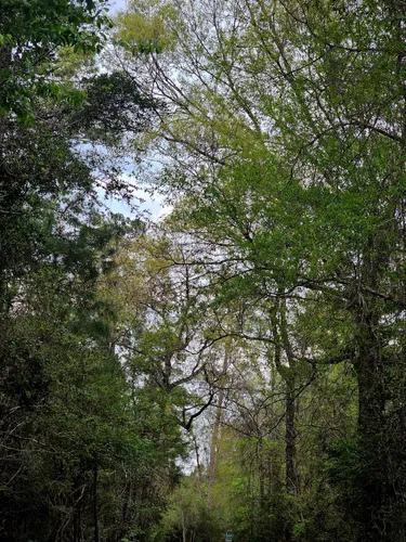 Best Hikes and Trails in Carter Park | AllTrails