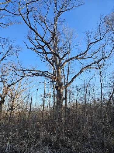 Best Hikes and Trails in Wickiup Hill County Park | AllTrails