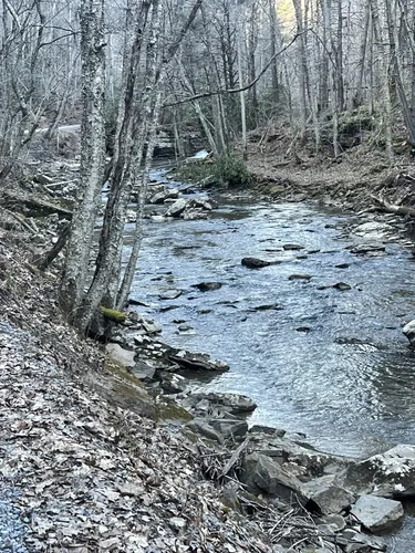 Best River Trails in Camp Creek | AllTrails