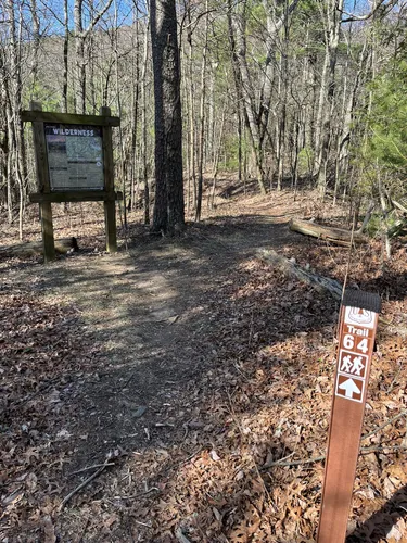 Best Walking Trails in Big Frog Wilderness | AllTrails