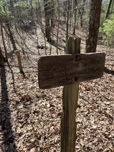 Best Walking Trails in Big Frog Wilderness | AllTrails
